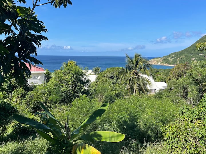 L’ « Eden Flow » Vue Mer, Piscine Et Jacuzzi - Martinica