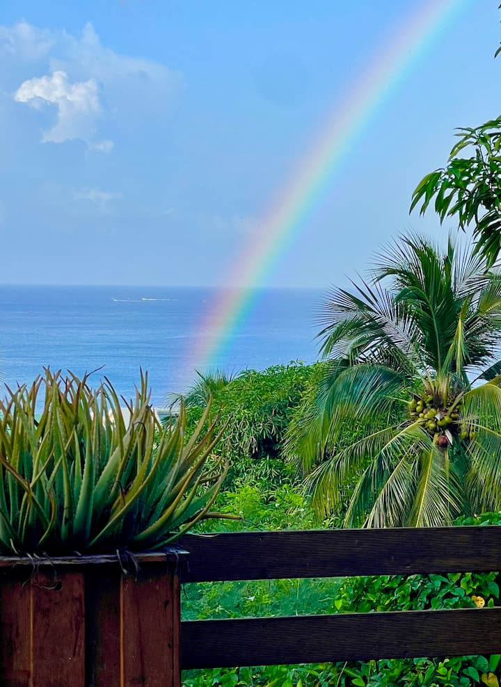 L’ «&nbsp;Eden Flow&nbsp;» Vue Mer Piscine Et Jacuzzi - Martinique