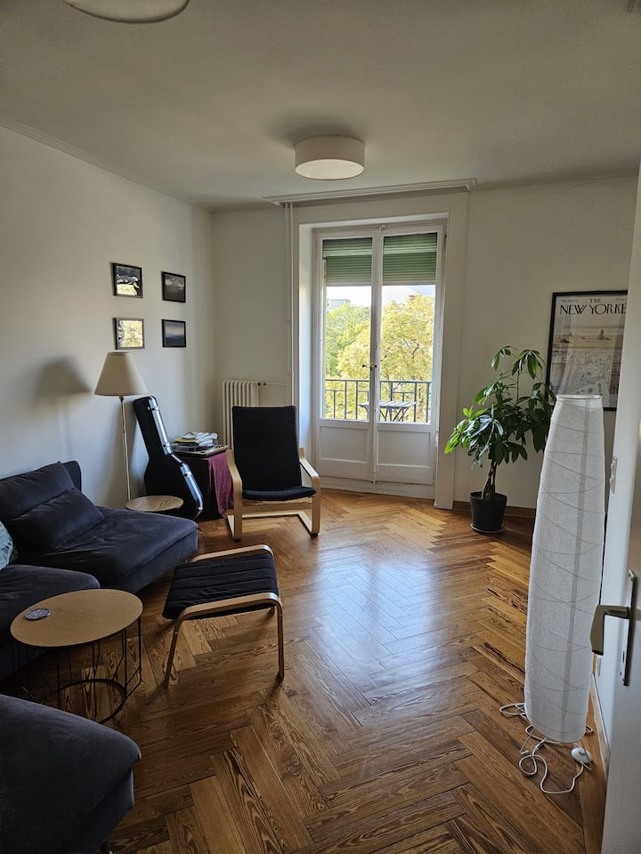 Charmant 4 Pièces Avec Petit Balcon (Saint-jean) - Geneva