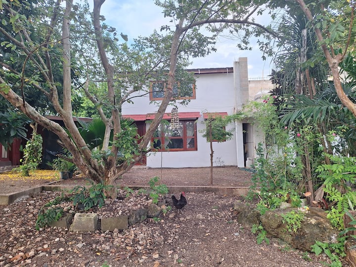 Nuevo Loft De Madera Con Jardin Amplio - Bacalar