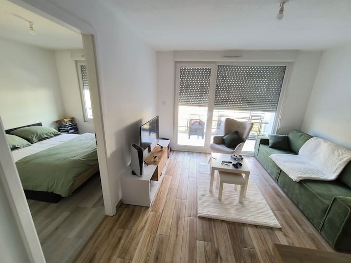 Appartement 2 Pièces - Fegersheim