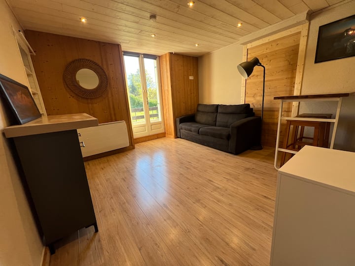 Alpine Studio - Confort Et éLégance - Montriond