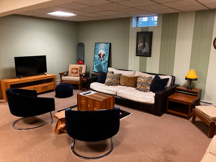 Huge One Bedroom Basement Apartment Inwayne, Nj - Lincoln Park, NJ