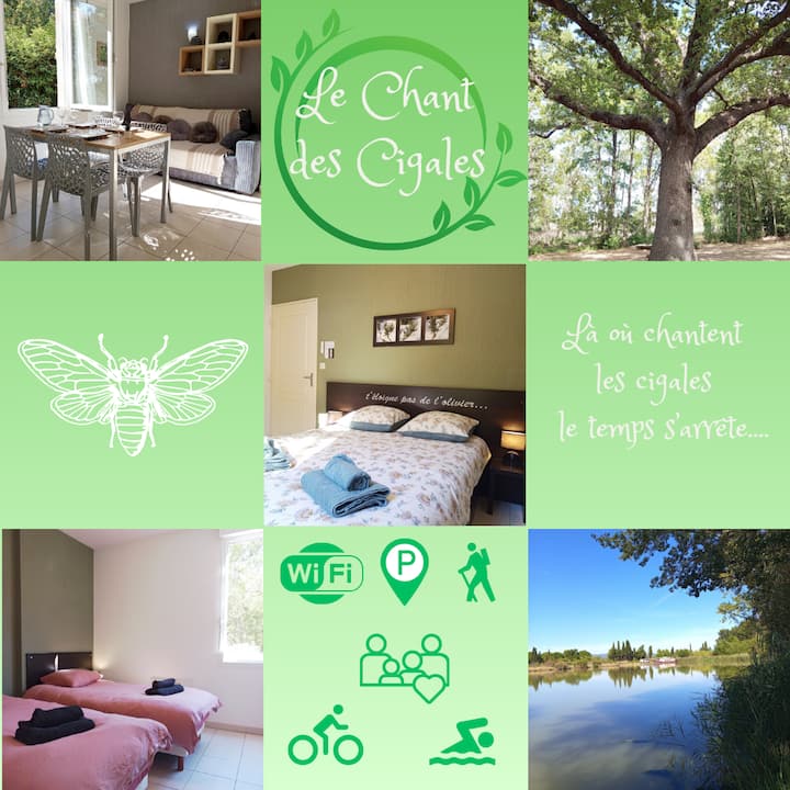 Le Chant Des Cigales * Balades*calme - Aude