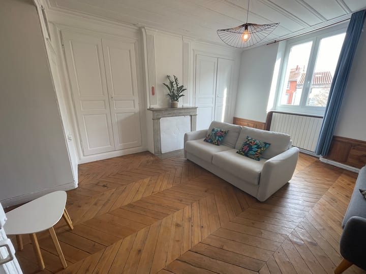 Grand Appartement Situé En Plein Centre-ville - Brioude