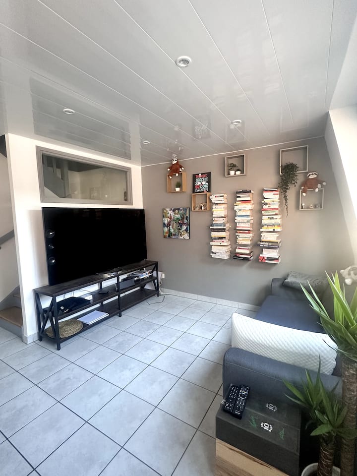 Duplex Calme Et Lumineux - Lingolsheim