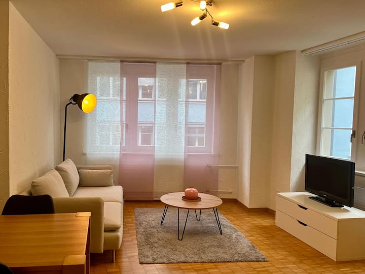 Charmante Wohnung Im Niederdörfli - Zurich
