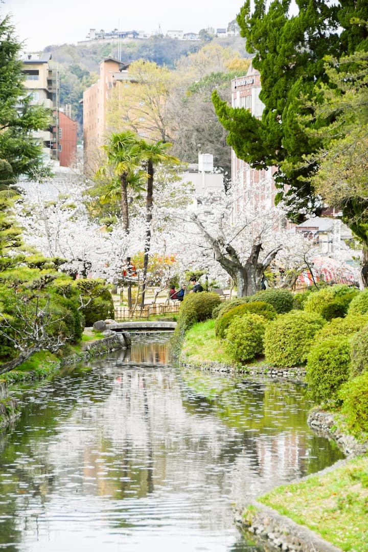 【桜の名所の近く】【アパートメント】道後温泉徒歩5分の畳の部屋 - Matsuyama