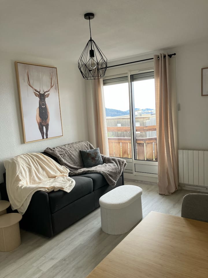 Appartement Familial Aux Pieds Des Pistes - Prapoutel