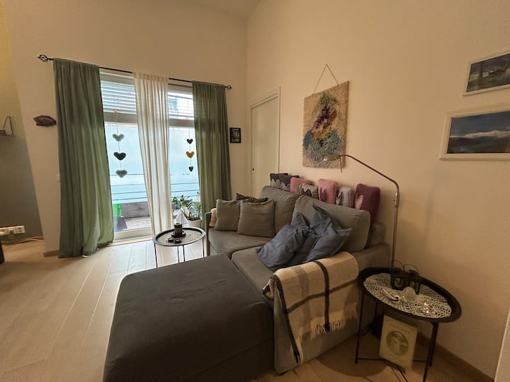 Arealeffektiv Og Ny Leilighet På Toppen Av Oslo - Oslo