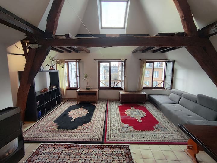 Authentique Appartement Bruxellois - Bryssel