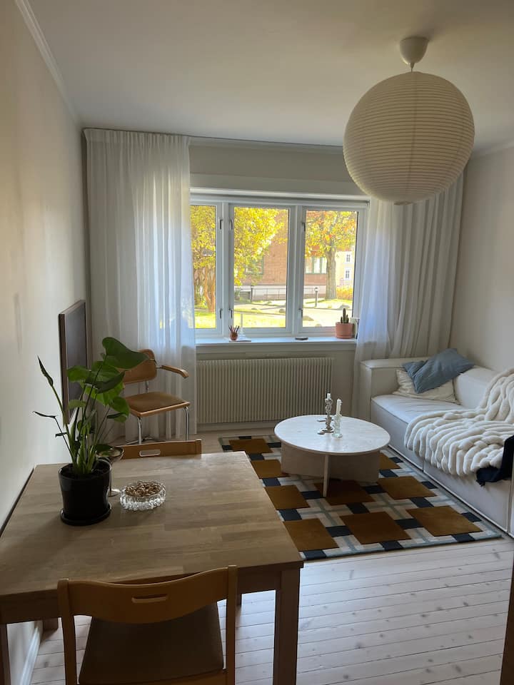 Liten Og Koselig Leilighet I Gamle Oslo - Oslo