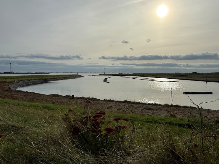 Uniek Huis Direct Aan De Oosterschelde - Bruinisse