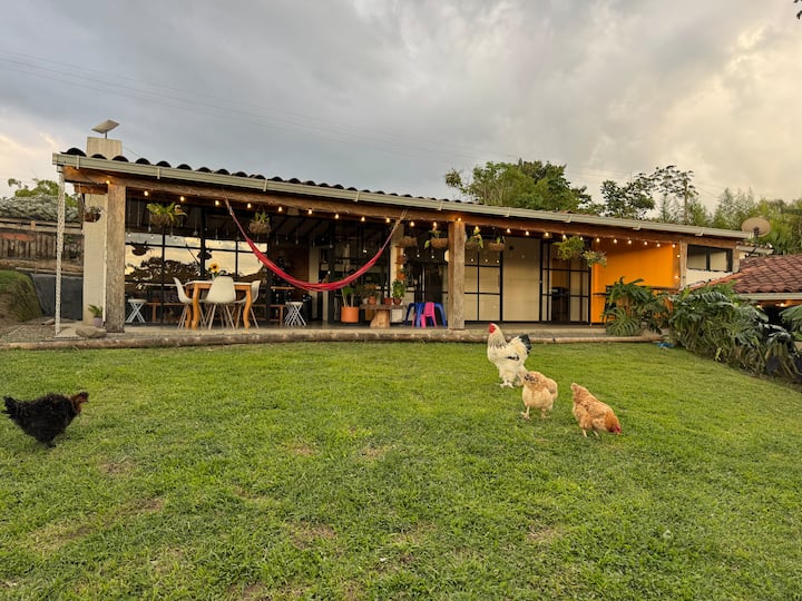 La Casa De Amelia - Filandia