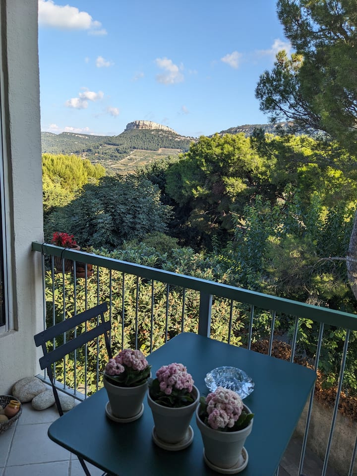 Sur Les Hauteurs De Cassis
Note Globale : 4,95 - Aubagne