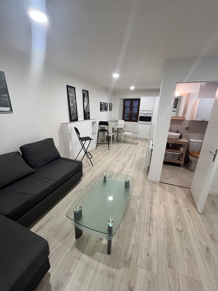 Joli T2 De 50m2 Au Coeur De Saint-marcellin - Saint-Marcellin