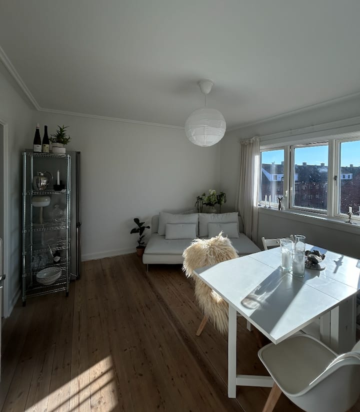 Charmerende Og Lys Lejlighed I Fuglekvarteret - Copenhague