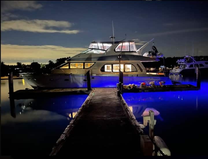 Snowball - Vancouver