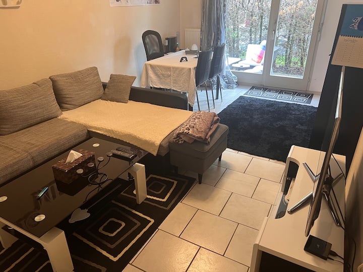 Appartement à 2 Pas De La Station De Ski - Vevey