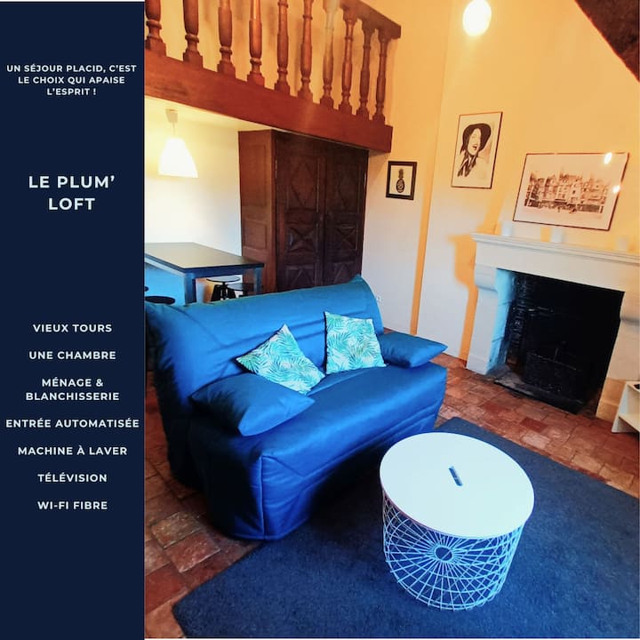 Le Plum'loft, T2 Au Cœur Du Vieux Tours, Wifi, Tv - Tours