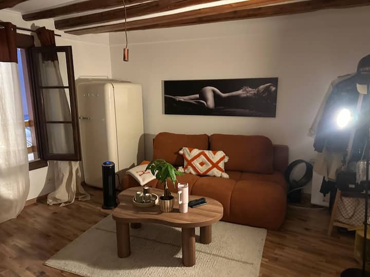 Charmant Studio Au Coeur De Geneve - Genf