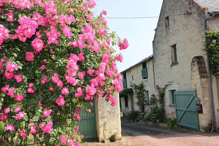 Le Clos Du Noisillet, Gite - Chinon
