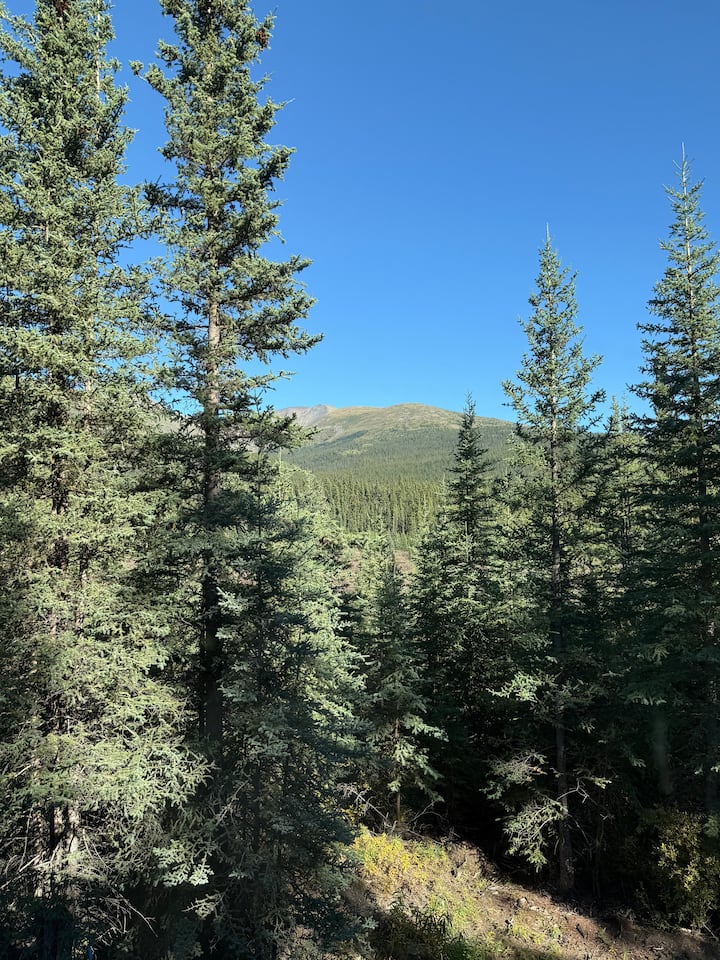 Whispering Spruce Cabin – Mount Lorne Yukon - Yukon