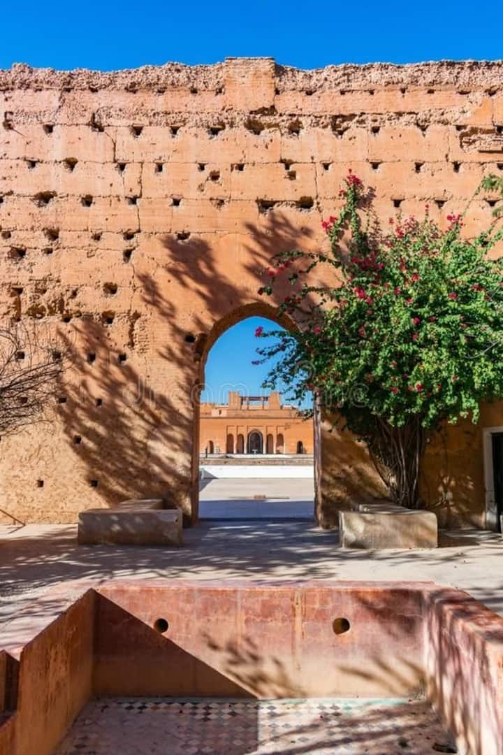Jardin Et Confort Au Cœur De Marrakech - Marrakech