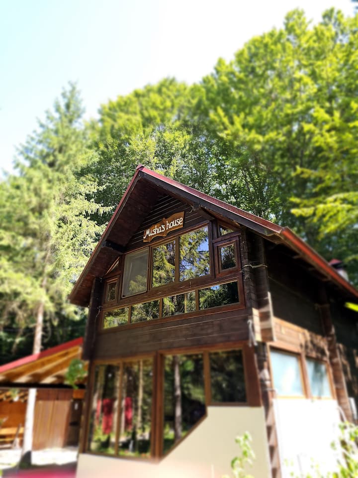 Misha's House - Avrig