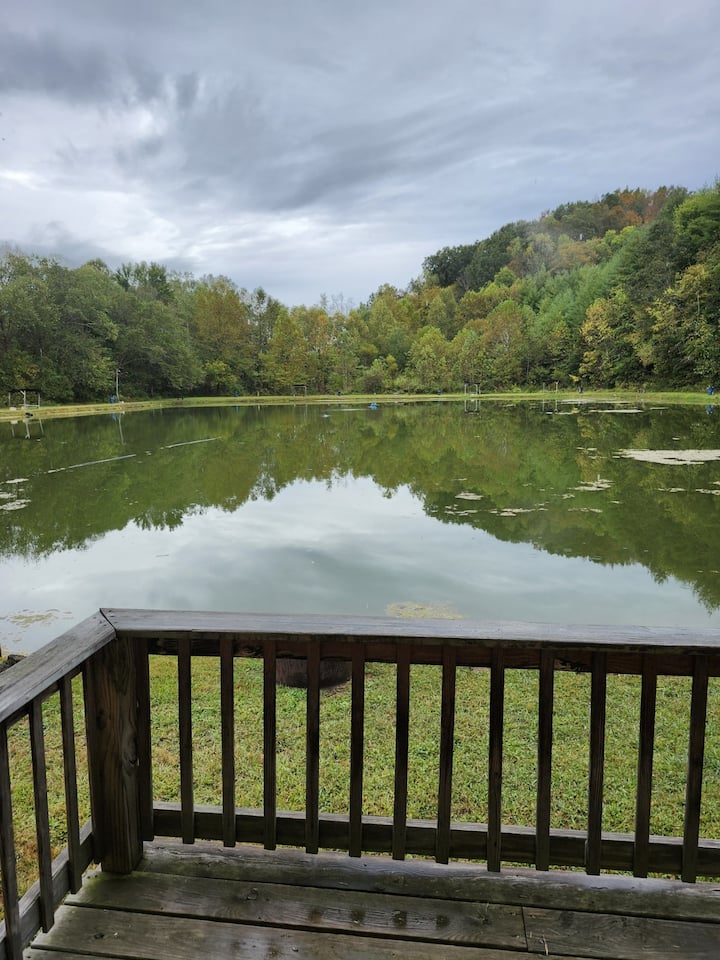 Sleeping Turtle Lily Pad - Kentucky