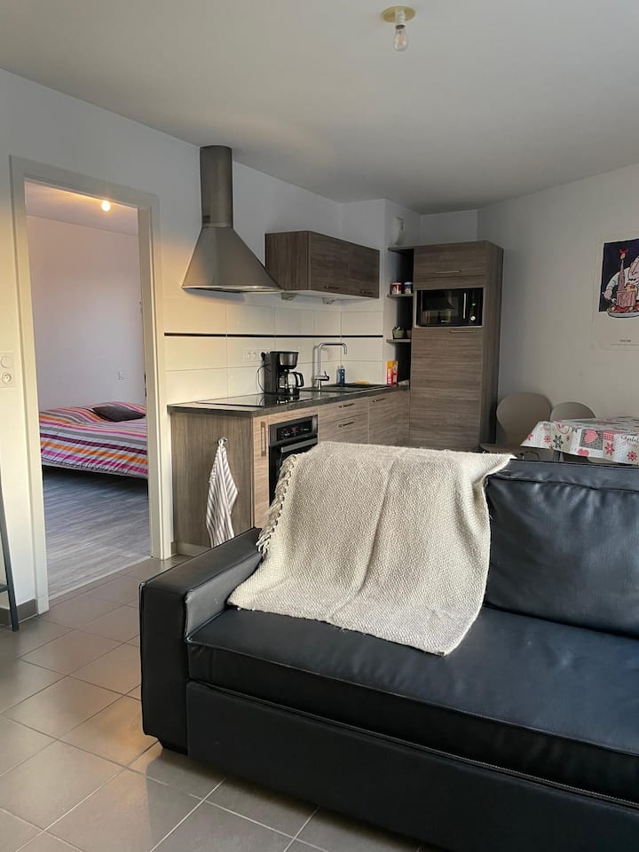 Attique Proche Du Centre-ville De Strasbourg - Illkirch-Graffenstaden