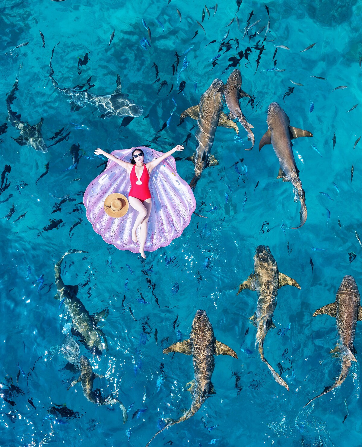 103 Zora Beach Inn, hébergement en bord de mer - Chambres d'hôtes à ...