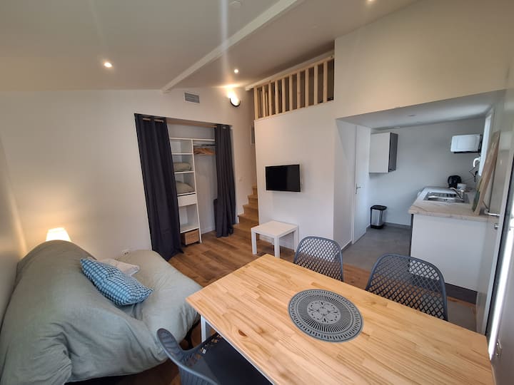 Studio Calme Proche Tramway T3/t7 - Groupama Stadium - OL