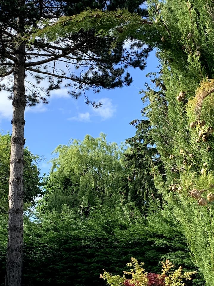 Maison Proche Plage, Grand Jardin, Houlgate Centre - Houlgate