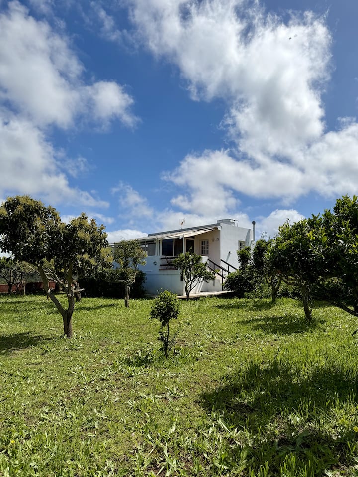 Finquita El Olivo, Tacoronte Tenerife - Tacoronte