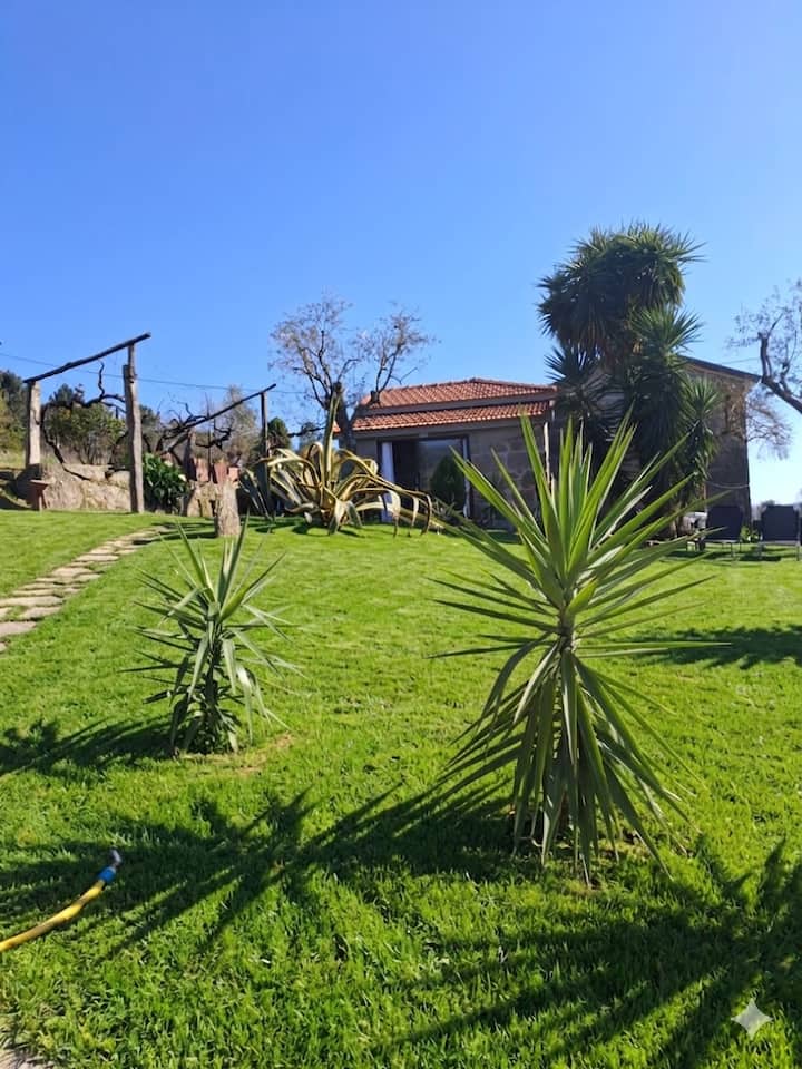 Astapadinhas  Vallée Do Douro - Resende, Portugal