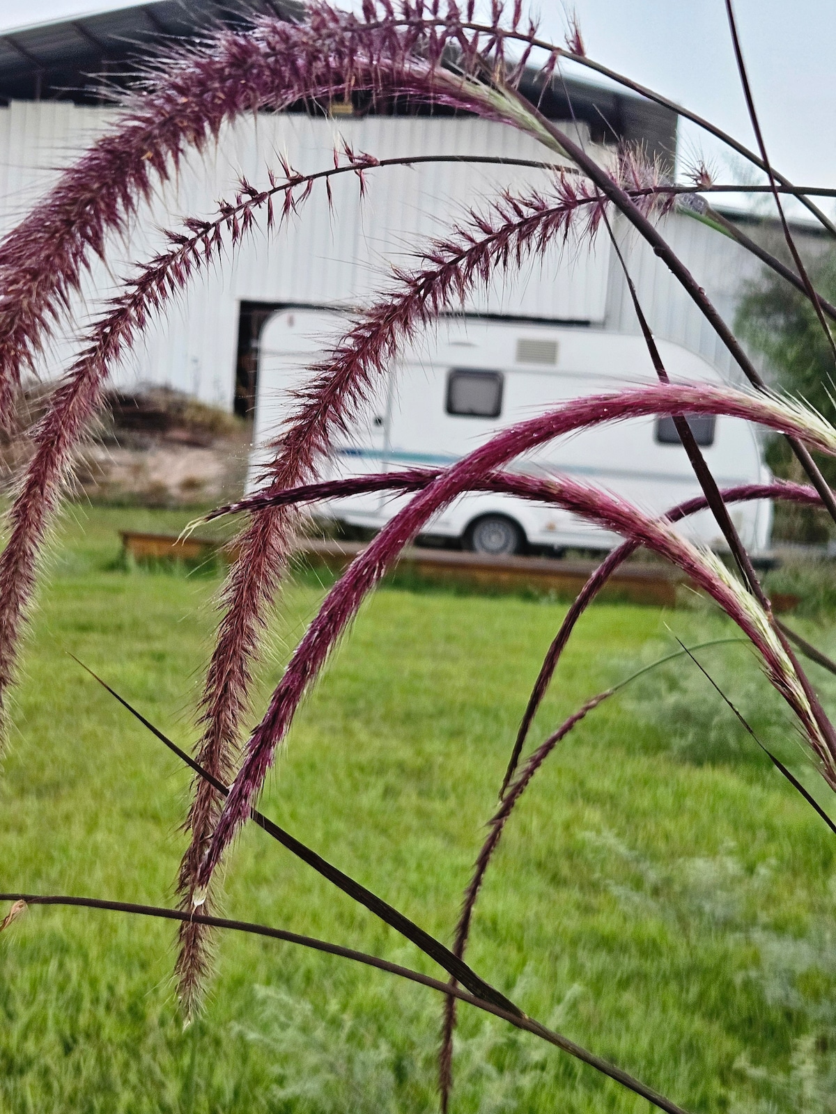 SADE A place in nature - Campers/RVs for Rent in Gimzo, Center District ...