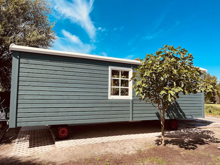 Pipowagen/tiny House, In Recreatiegebied! - Wijk aan Zee
