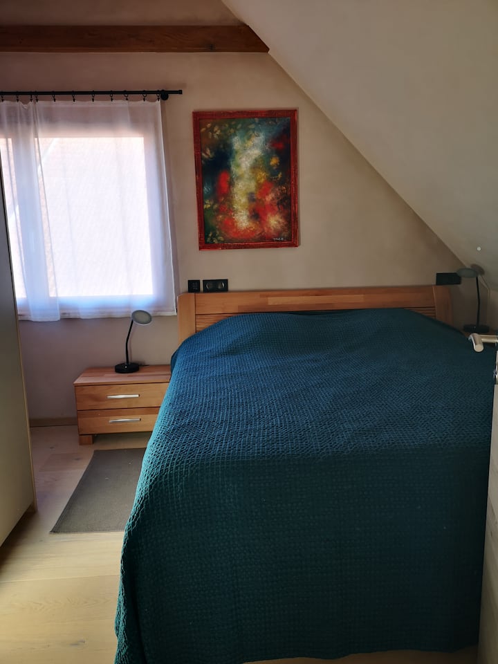 L'oryx - Appartement Cosy Et éCoresponsable - Sélestat