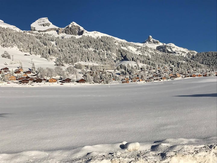 Comme à La Maison, Mais Ailleurs. - Leysin