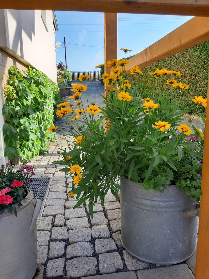 Ferienwohnung Am Gallberg
(Mietbar Ab 3 Nächte) - Dresden