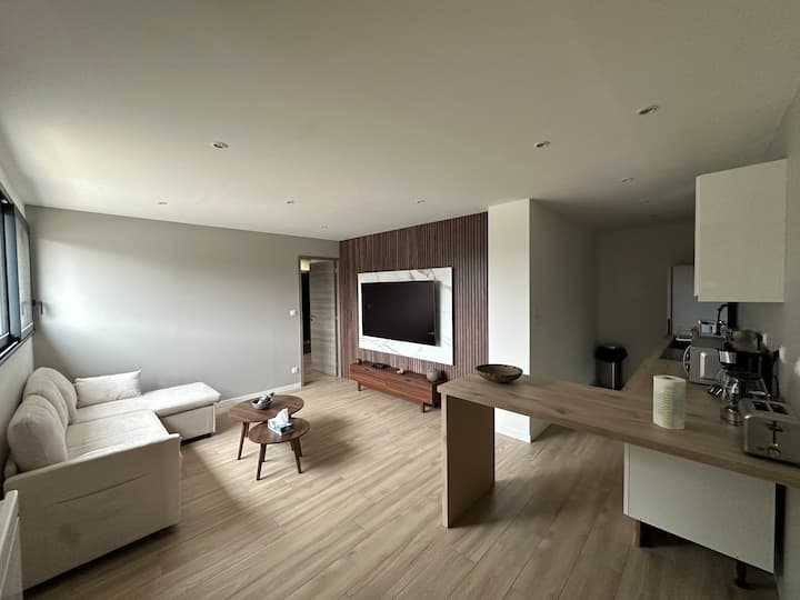 Magnifique Appartement - Annemasse