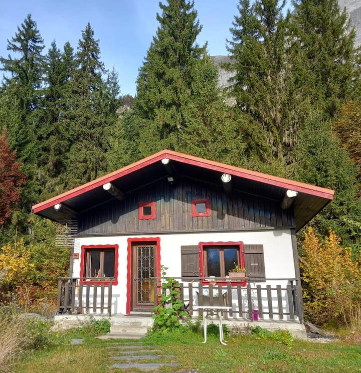 Petit Chalet En Montagne. - Passy