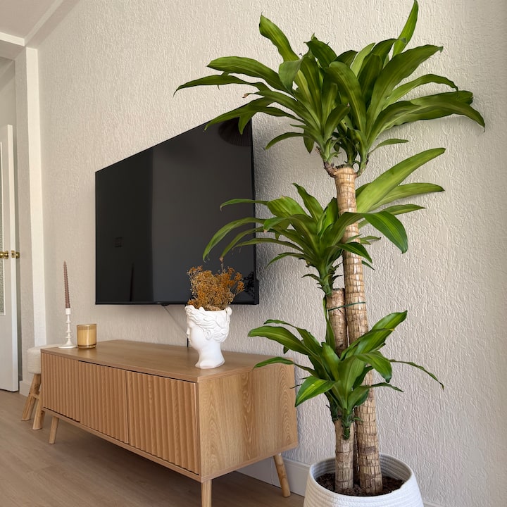 Piso En El Corazon De Las Torres De Cotillas - Lorquí