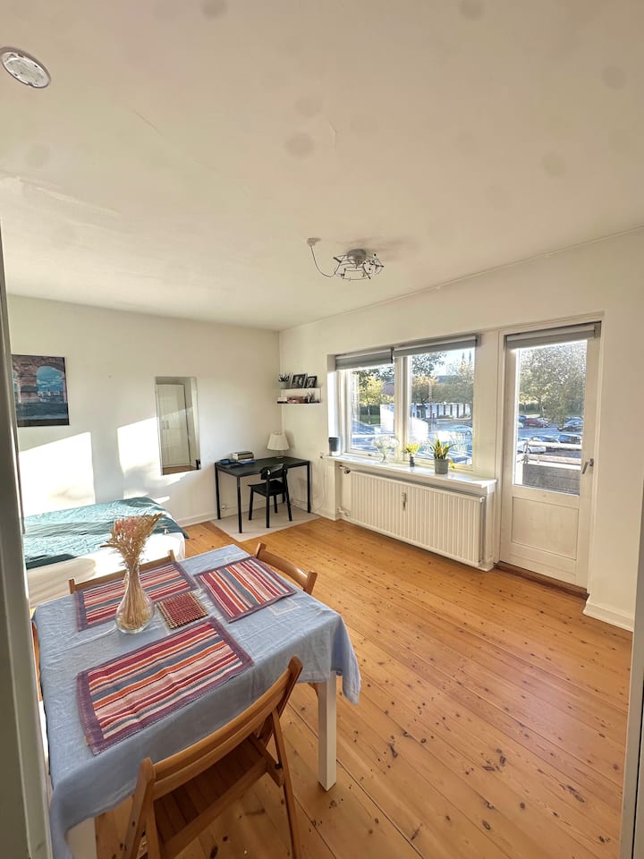 Cozy Apartment With Balcony Near City Center - Odense