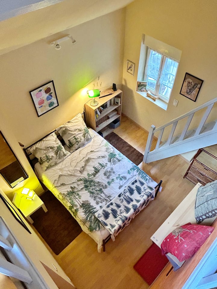 L'écureuil Ludique : 
Ludogîte 3 éToiles - Le Neubourg