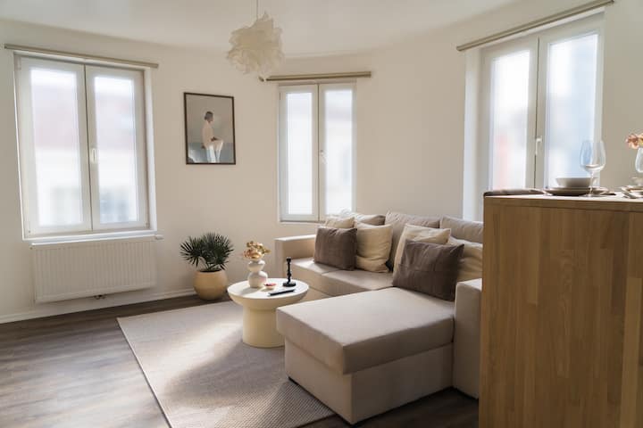 Central 1br & 1lr-5min Walk To Gravensteen Castle - Gand
