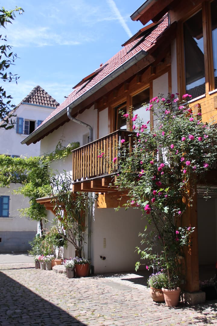 Urlaub Im Weingut Balkonwohnung - Landau in der Pfalz