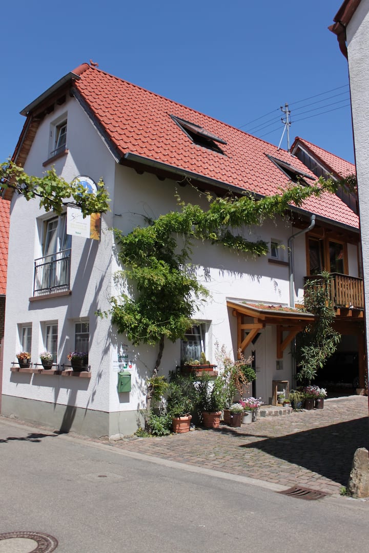 Urlaub Im Weingut Dachgeschosswohnung - Landau