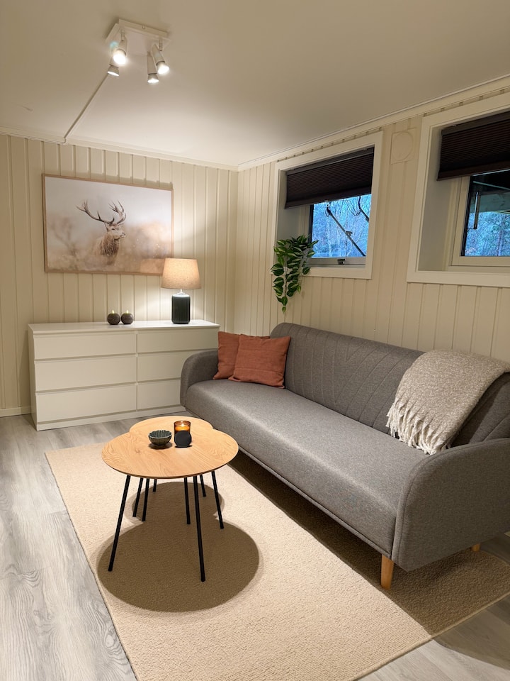 Romslig Kjellerleilighet Nært Sentrum. - Alta